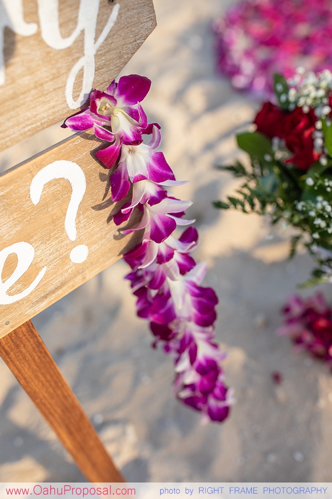Romantic Proposal in Waikiki Beach, Oahu Hawaii