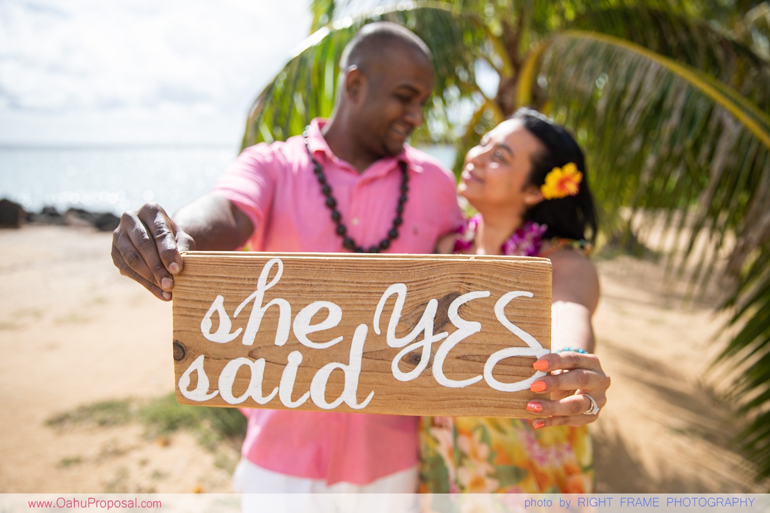 Surprise proposal under Palm Trees on Oahu, Hawaii
