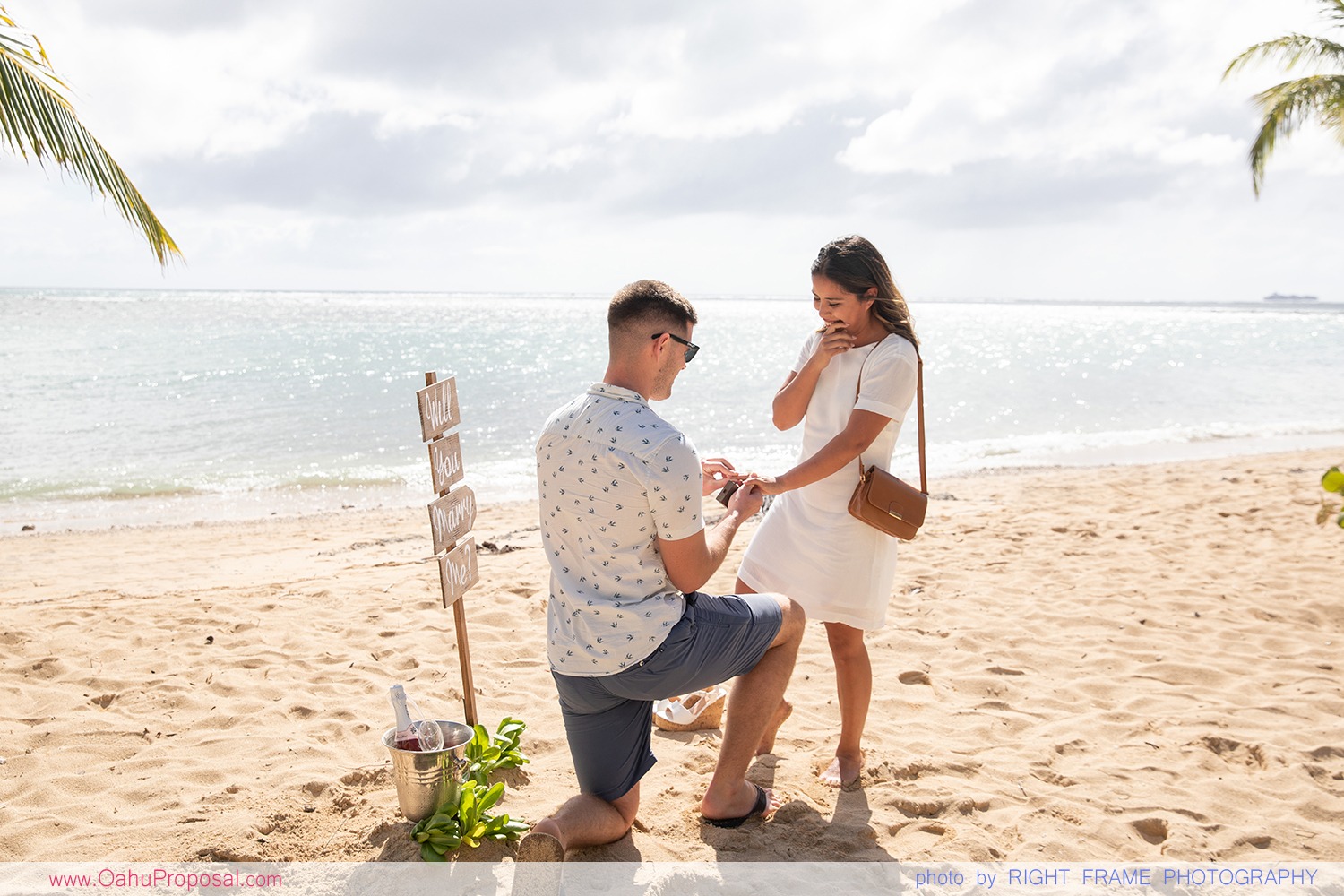 Destination Beach Proposal at Waialae Beach Park, Oahu