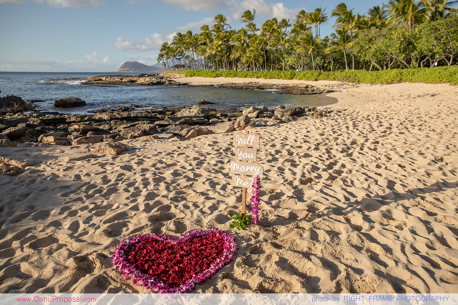Proposal Photographer Hawaii - Proposing in Oahu