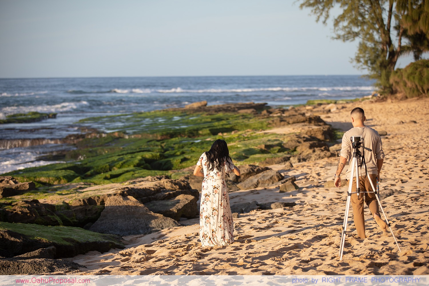 Sunset Beach Proposal in Oahu Hawaii