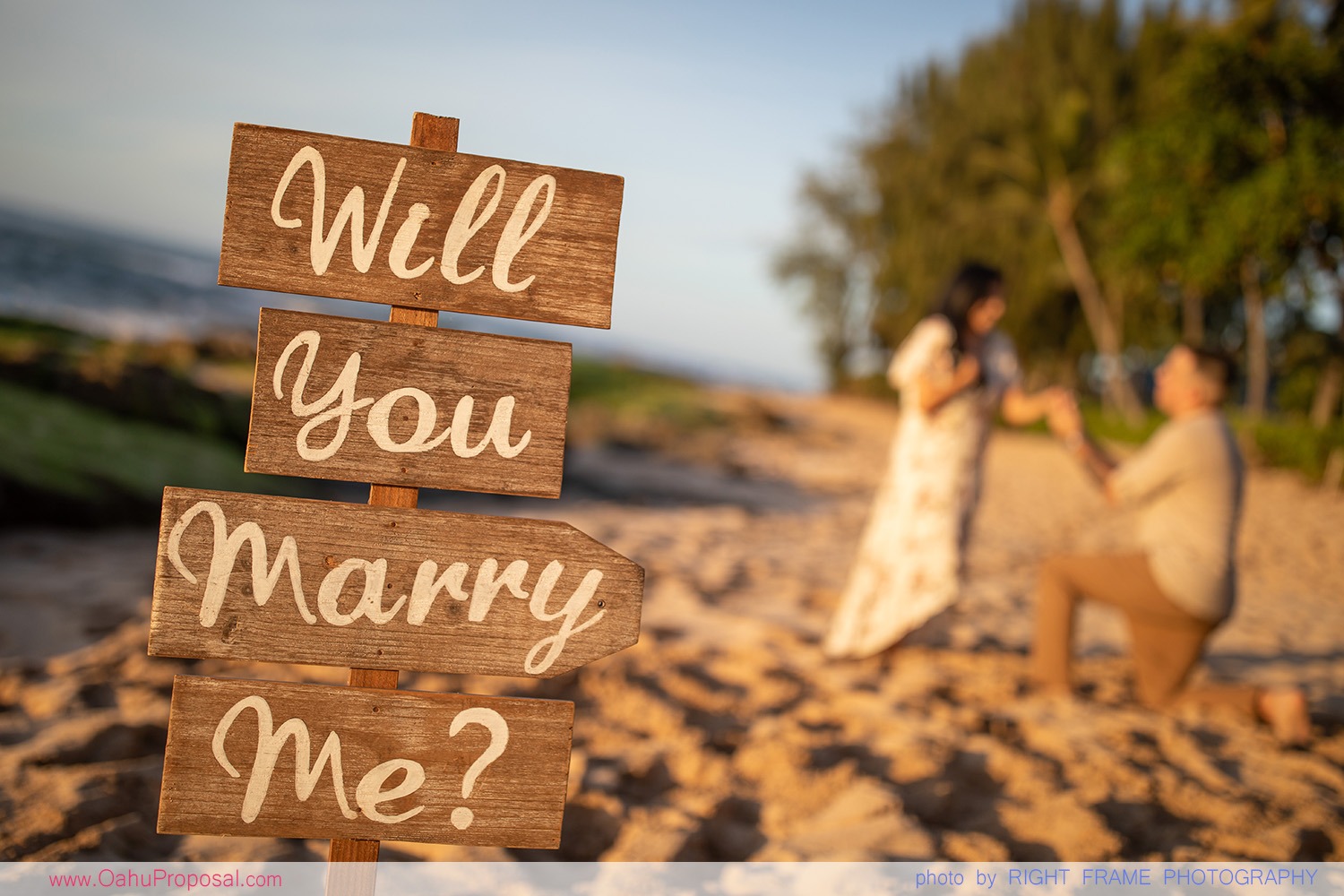 Sunset Beach Proposal in Oahu Hawaii